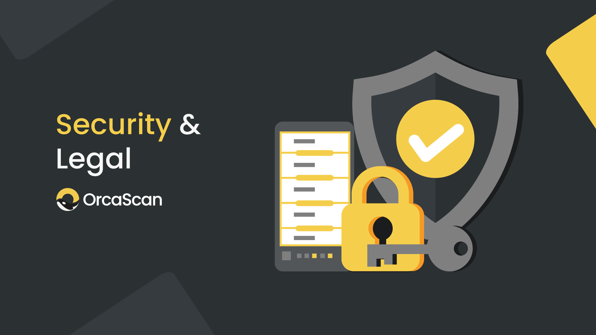 Security at Orca Scan